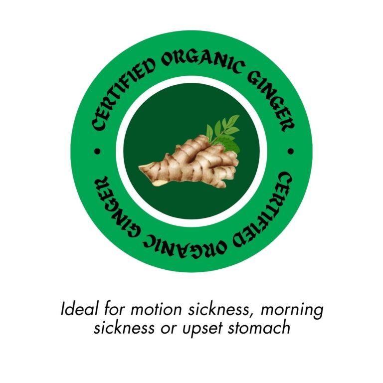 Gravol Natural Source Dimenhydrinate Tablets