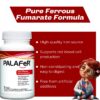 Order Palafer Iron Therapy (Ferrous Fumarate 300 mg) | Effective Iron ...