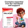 Buy Palafer Iron Liquid (Suspension) | High Absorption Iron Supplement | Pharmacy24